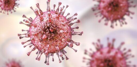 CMV Disease - Kamada Pharmaceuticals